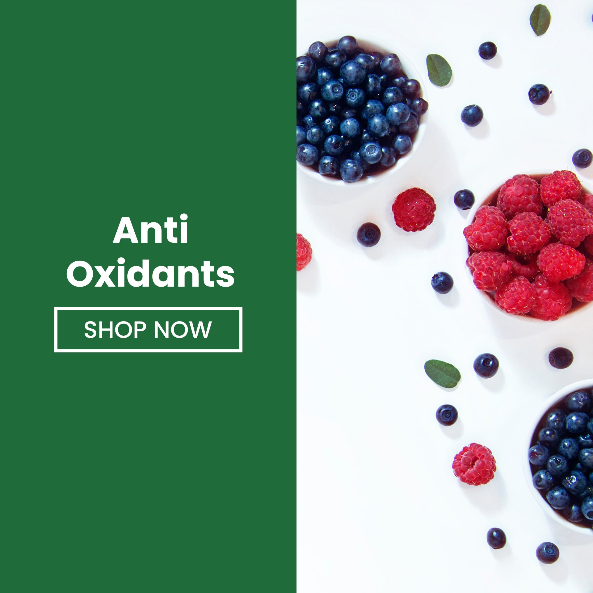 Anti-Oxidant – Genex Formulas LLC