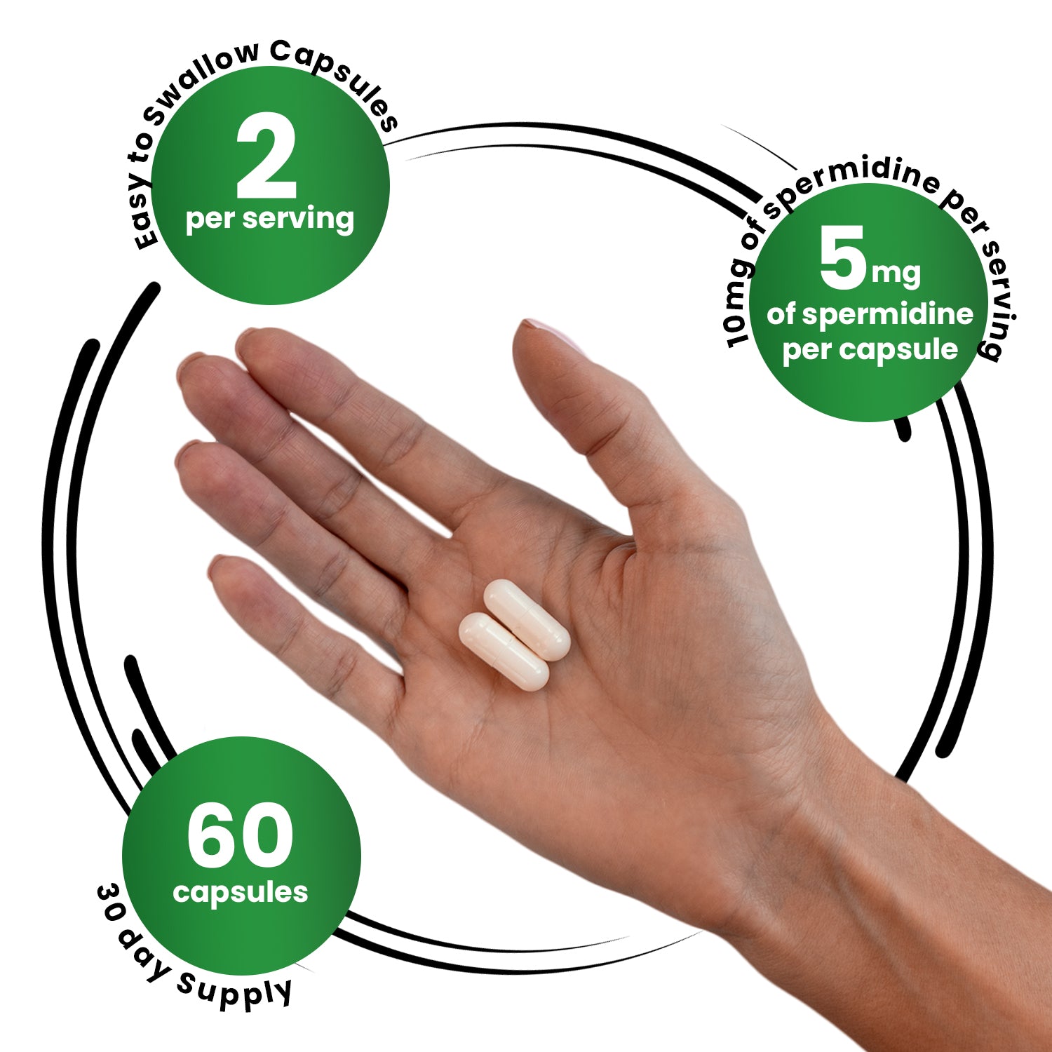 Genex Spermidine 10m (60 Capsules) – Genex Formulas LLC