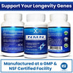 NMNs Nicotinamide Mononucleotide 250mg serving (125mg X2 3 Pack - free ...